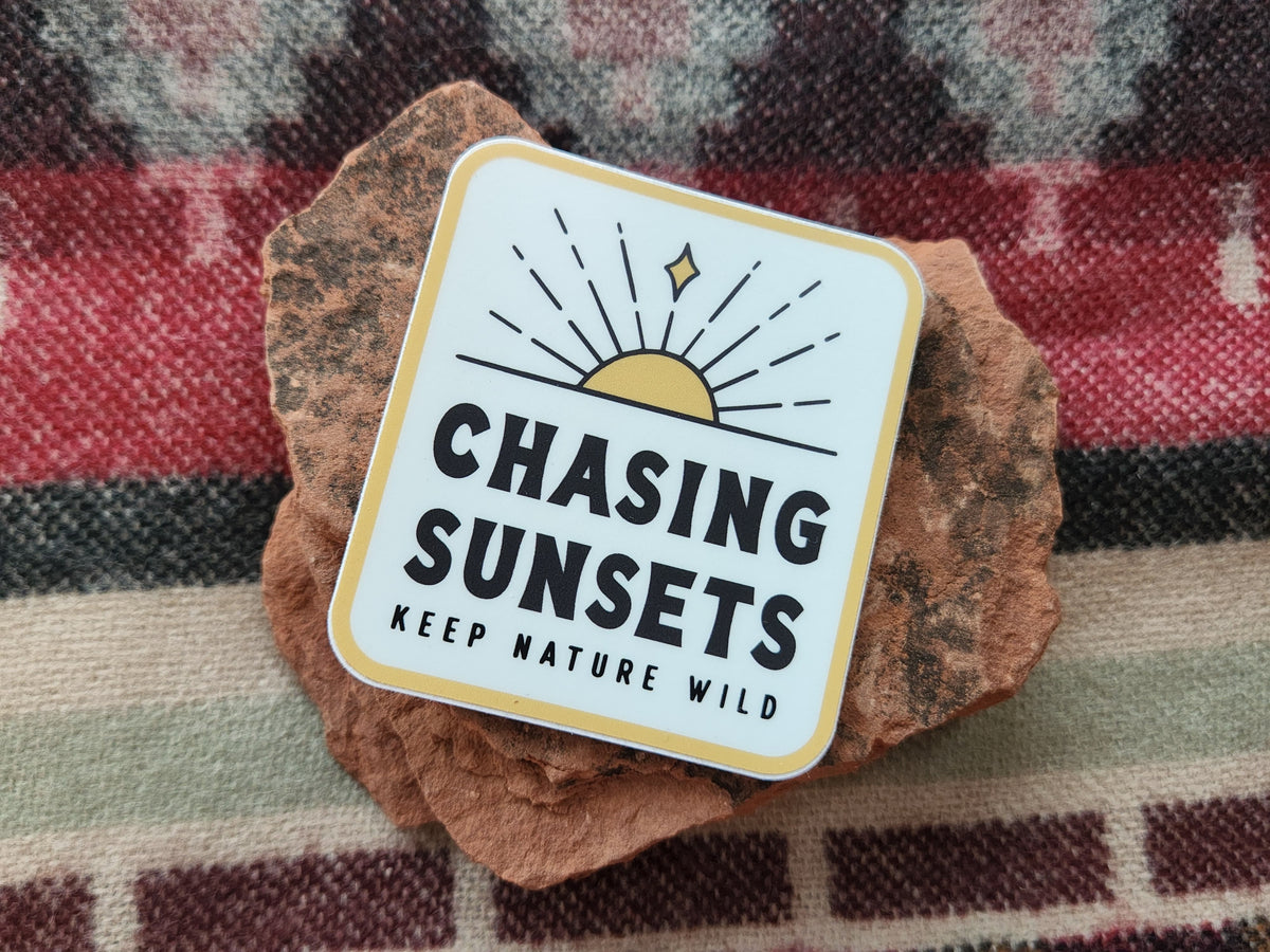 Chasing Sunsets- Sticker – Dnaplainfield